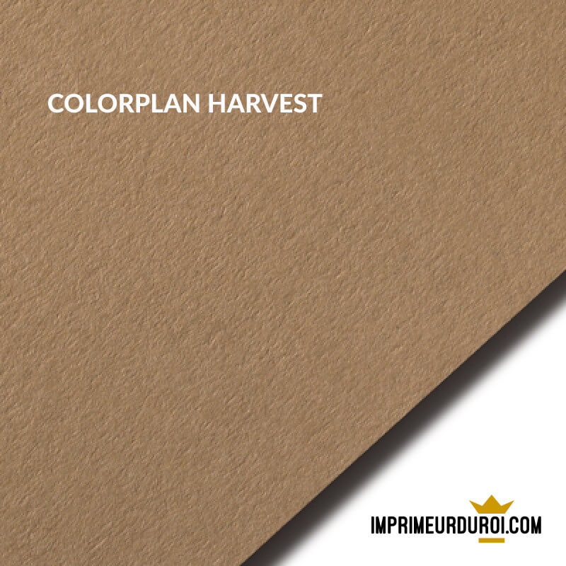 50 nuances de Colorplan pour cartes et cartons luxes!