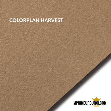 50 shades of Colorplan to print your 4 to 8 folded leaflet