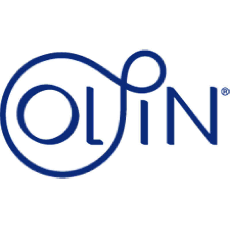 Custom 4 to 8 pages Olin Regular & Smooth folded leaflet printing